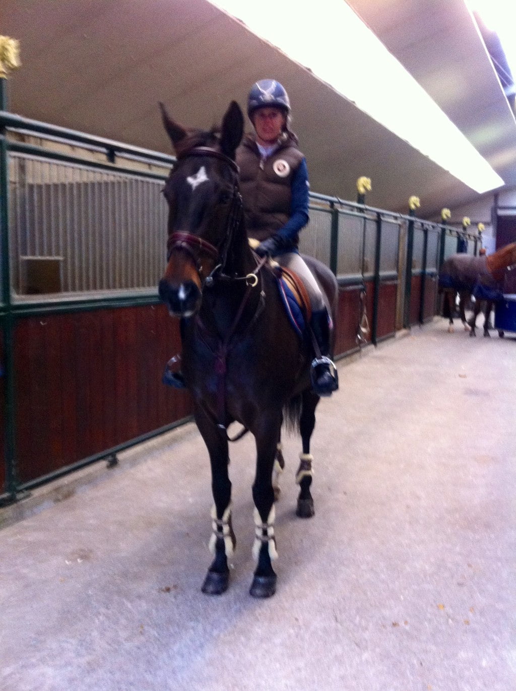 Riding Farm Equestrian Centre